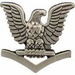 USN 3rd Class Crow Pin