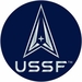 USSF Space Force Logo Lapel Pin (1")
