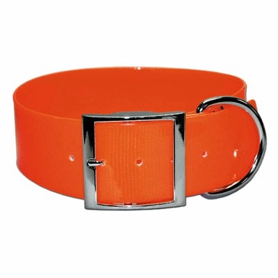 2 inch wide orange SunGlo collar