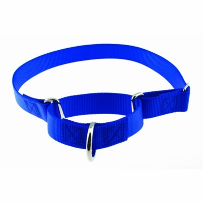 Martingale Training Collars
