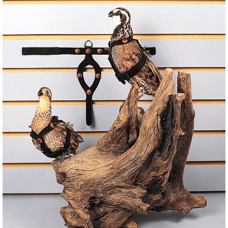 Pigeon or Quail Restraint Harness