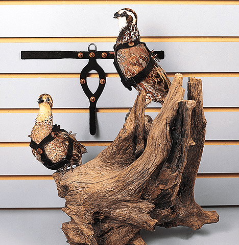 Pigeon or Quail Restraint Harness