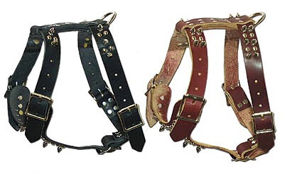 Small Spiked Dog Harness