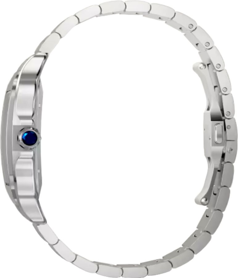 Buy Cartier Santos De Cartier Large WSSA0076 | Authentic Watches