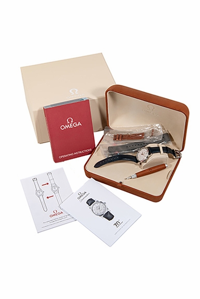 Omega Seamaster Automatic Mens Watch 511.13.38.20.02.001