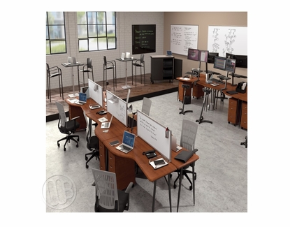 Desktop Privacy Divider