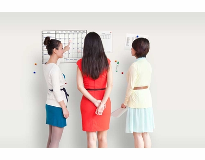 Opti-MagPrime™ Magnetic Primer