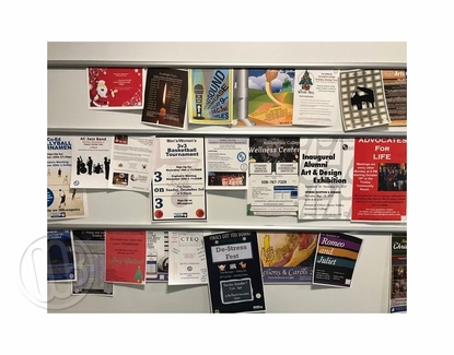 Tackless Paper Display Rails