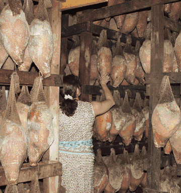 Store & Prepare Aged Ham