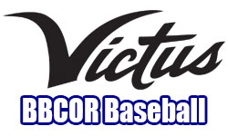 BBCOR Adult Baseball Bats