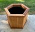 Octagonal Cedar Planter