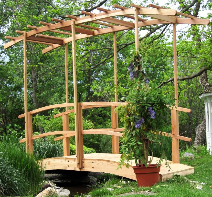 Monet’s Cedar Wood Garden Bridge with Canopy