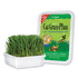 Cat A’bout Cat Grass Plus 150gm