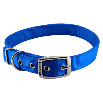 Hamilton D/T Deluxe Nylon Dog Collar 1"x20"