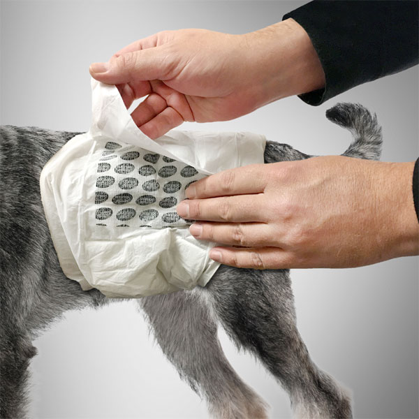 Simple Solution Disposable Male Dog Wraps Medium 12pk