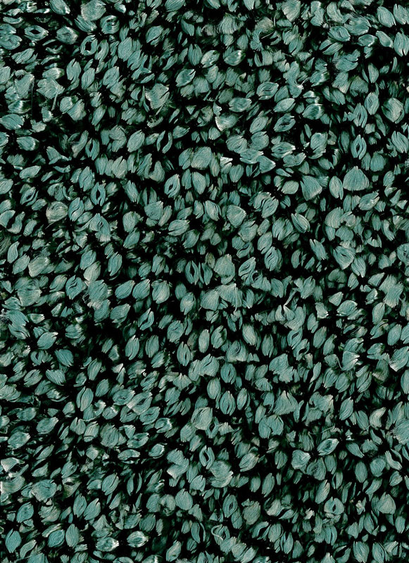 Dalyn Area Rugs: Belize Rug: BZ100 Spa Blue - Shag & Flokati Rugs ...