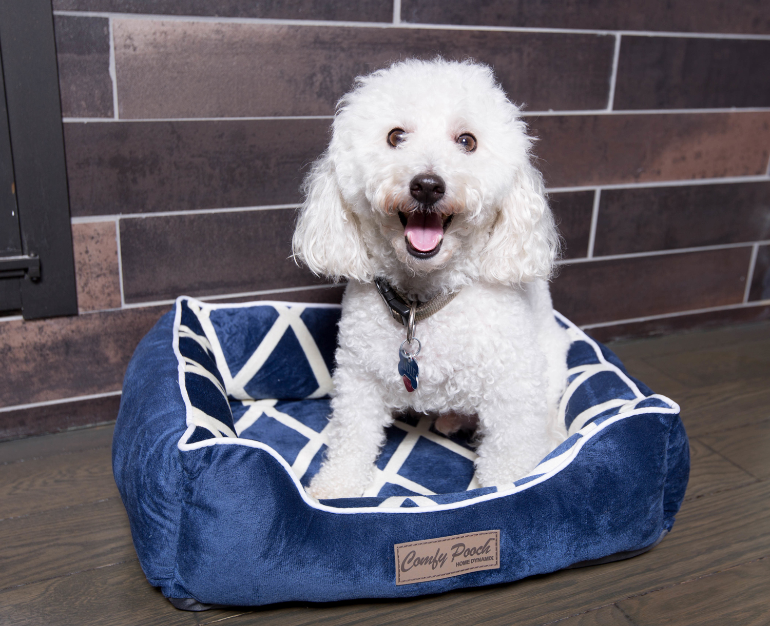 Home Dynamix Pet Supplies: Comfy Pooch Printed: HD95-300 Navy Blue ...