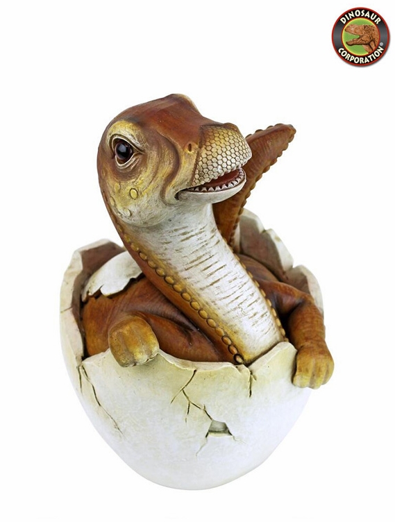 Real Dinosaur Eggs Hatching