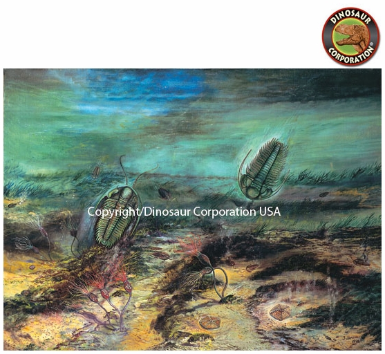 Cambrian | Pictures Art Prints Illustrations Images Photographs ...