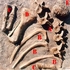 Chasmosaurus Dinosaur Fossils Dig Panel | Bones Teeth Claws Skeleton