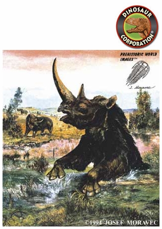 Prehistoric Life of Pleistocene epoch, Time Information Ice Age Mammal ...