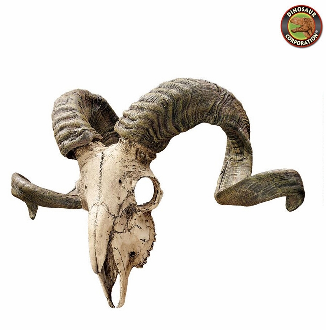 Ram Skull Front