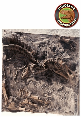 Prehistoric Fossil Dig