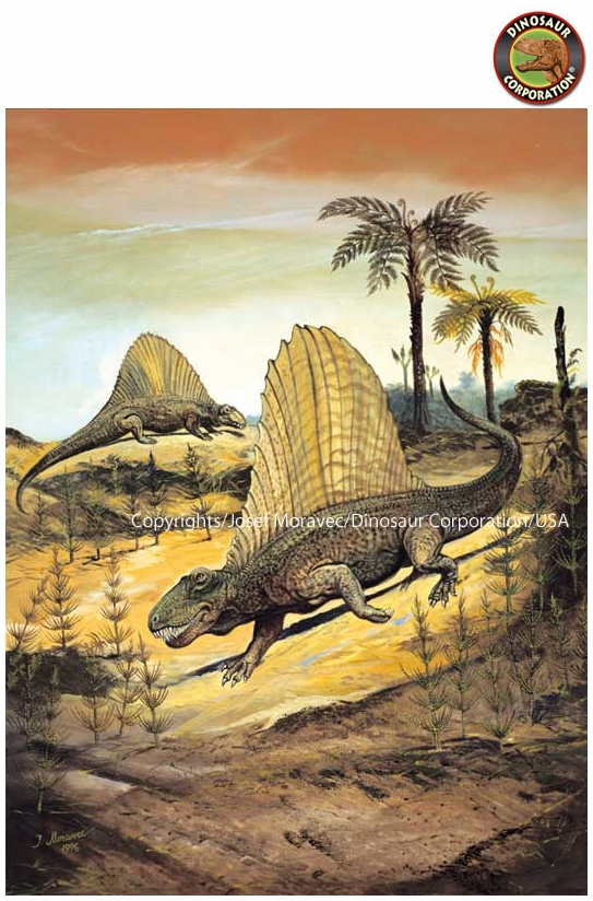 Permian Period Animals