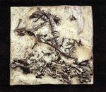 Dinosaur Fossil Dig Panels For Sale | Dinosaur Bones Teeth Claws ...