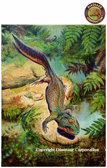 Discosauriscus | Josef Moravec | Dinosaur Corporation