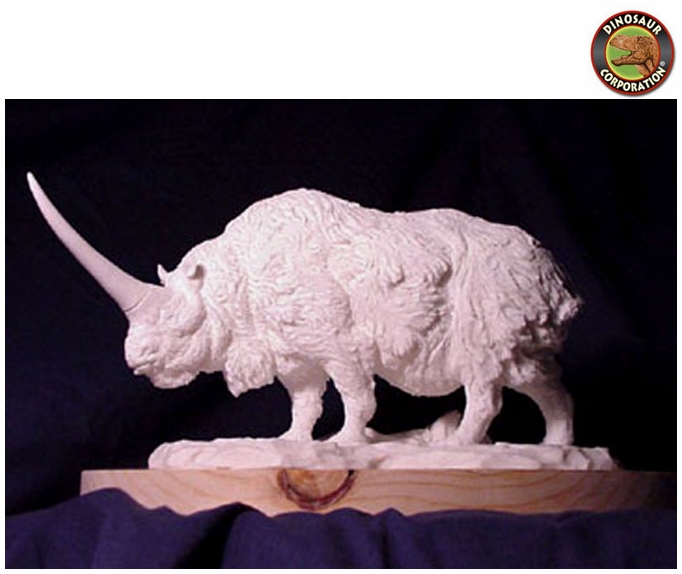 Elasmotherium Fossil