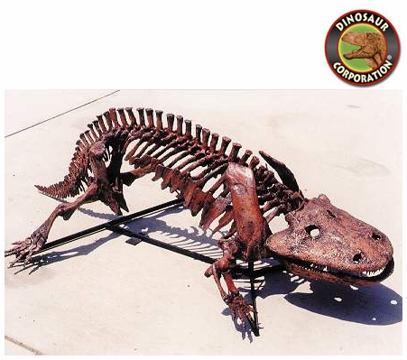 Eryops Skeleton For Sale | Fossil Replica | Dinosaur Corporation