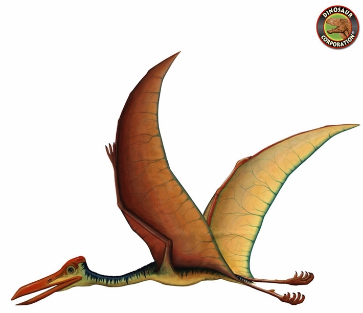 Giant Flying Dinosaur