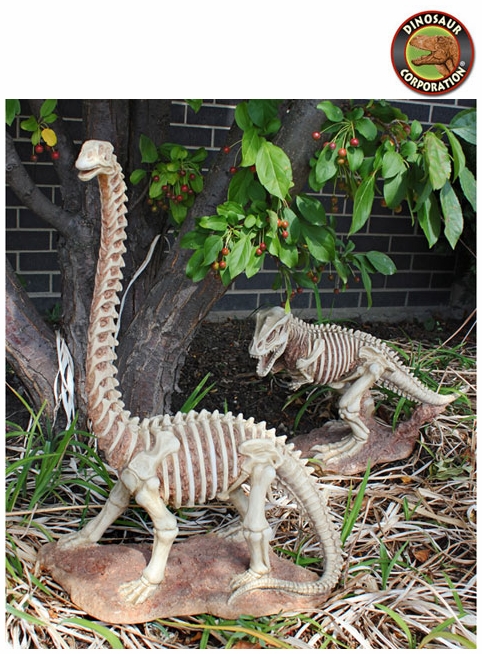 Brachiosaurus Skeleton Model