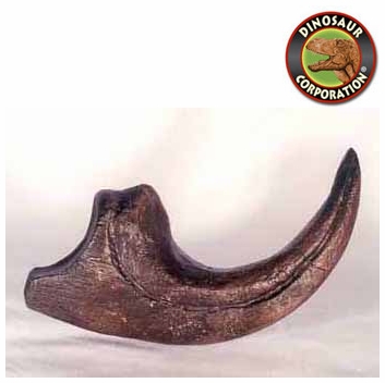 Allosaurus fragilis Claw | Fossil Replica
