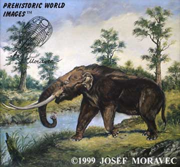 Mastodon Animal Artwork