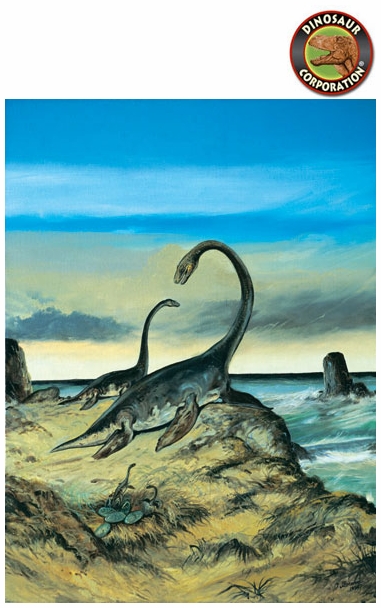 Plesiosaurus