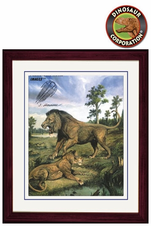 American Lion - Panthera leo atrox