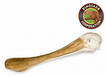 Spoonbill Roseatte Skull for Sale | Dinosaur Corporation