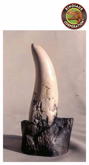T-rex Teeth Fossil Replicas | Dinosaur Corporation