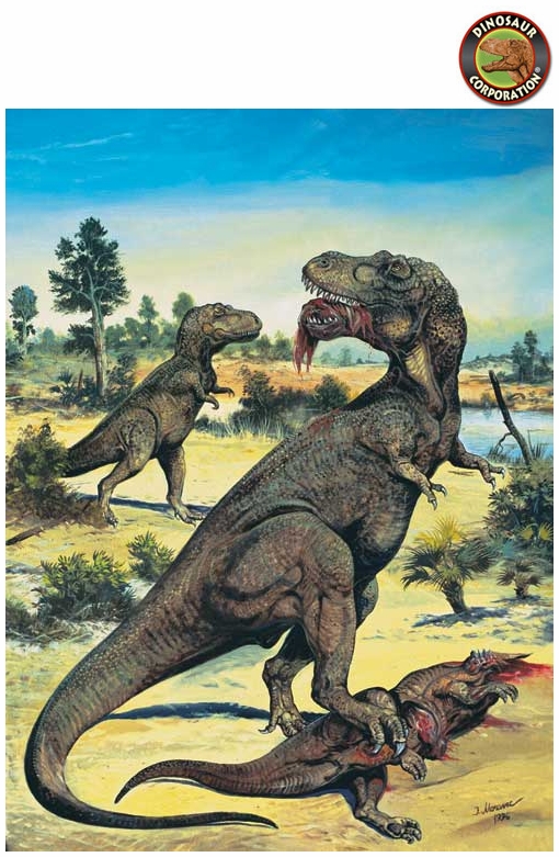 Tarbosaurus bataar | Dinosaur Corporation