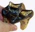 Titanothere Brontotherium Tooth For Sale | Dinosaur Corporation