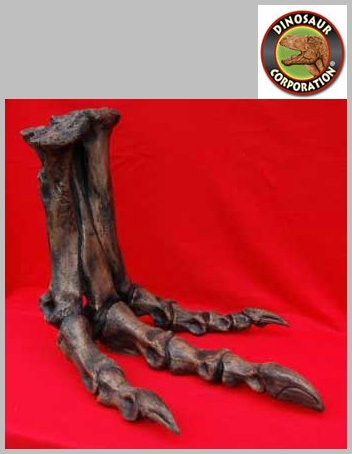 Tyrannosaurus rex Foot For Sale | Fossil Replica | Dinosaur Corporation