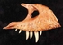 Tyrannosaurus rex Maxilla For Sale | Fossil Replica | Dinosaur Corporation
