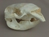 Wombat Skull For Sale | Dinosaur Corporation