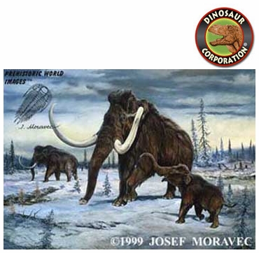Woolly Mammoth | Pleistocene epoch | Dinosaur Corporation