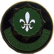 2nd Armored Cavalry Regiment Pin - 2nd Armored Cavalry Regiment ...