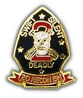 2nd Marine Recon. BN Pin - Marine Corps Division Pins - PriorService.com