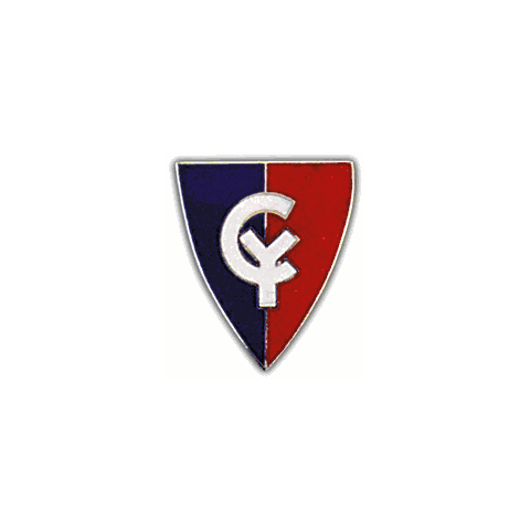 38th Infantry Division Pin - 38th Infantry Division - PriorService.com