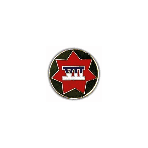 7th Corps Pin - 7th Corps - PriorService.com